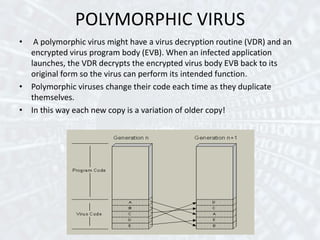 Virus-Awareness | PPTX