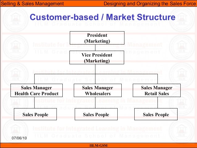 Ssm lecture-06 & 07 (designing and organizing the sales force)