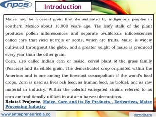 Maize Processing Business Plan- Maize and it’s By Products | PPTX