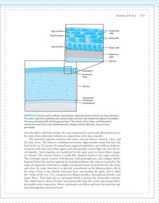OCULAR DRUG DELIVERY SYSTEM | PDF