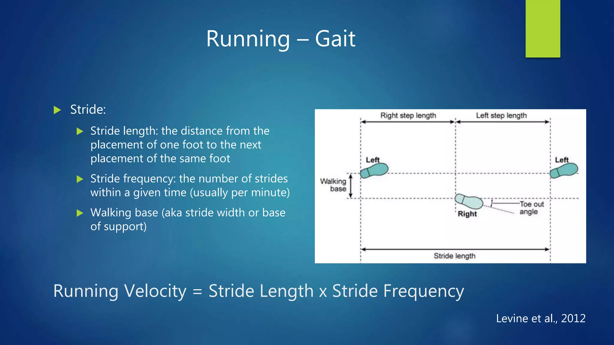 The 100m Sprint: a Basic Needs Analysis | PPTX