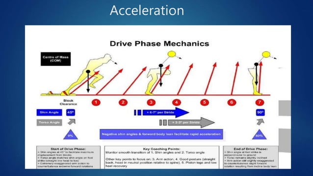 The 100m Sprint: a Basic Needs Analysis | PPTX | Running and Jogging ...