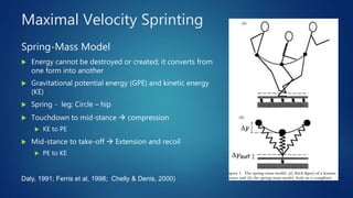 The 100m Sprint: a Basic Needs Analysis | PPTX