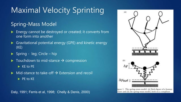 The 100m Sprint: a Basic Needs Analysis | PPTX | Running and Jogging ...