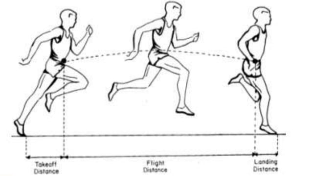 The 100m Sprint: a Basic Needs Analysis | PPTX | Running and Jogging ...