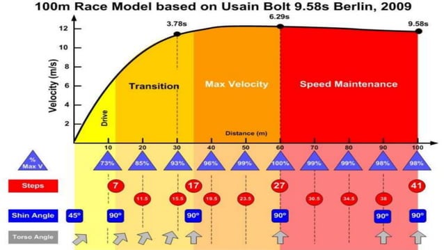 The 100m Sprint: a Basic Needs Analysis | PPTX | Running and Jogging ...