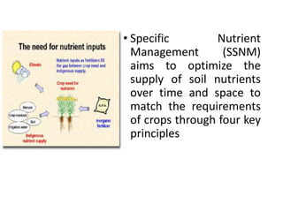 Site specific nutrient management | PPTX