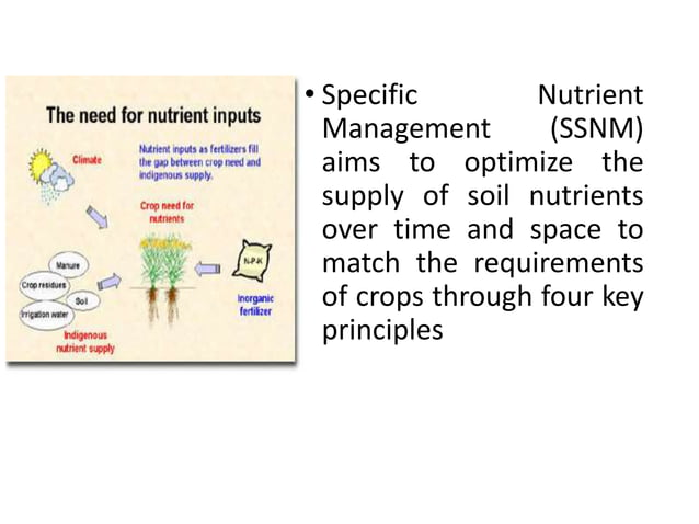 Site specific nutrient management | PPTX | Agriculture | Industries