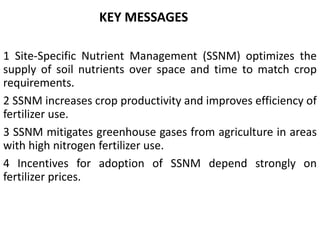 Site specific nutrient management | PPTX