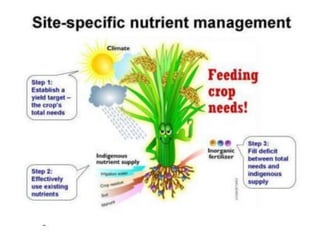 Site specific nutrient management | PPTX