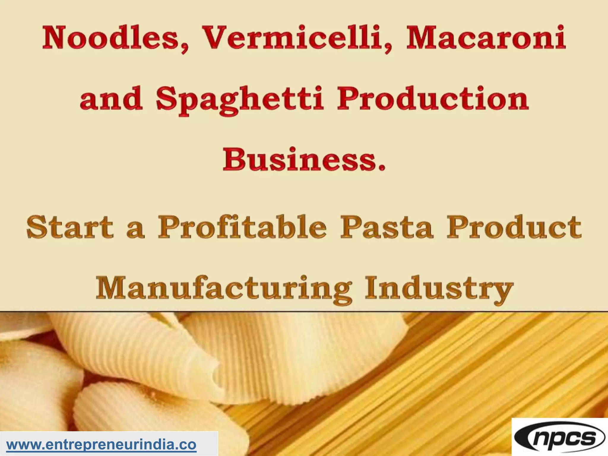 Noodles, Vermicelli, Macaroni and Spaghetti Production Business | PPTX