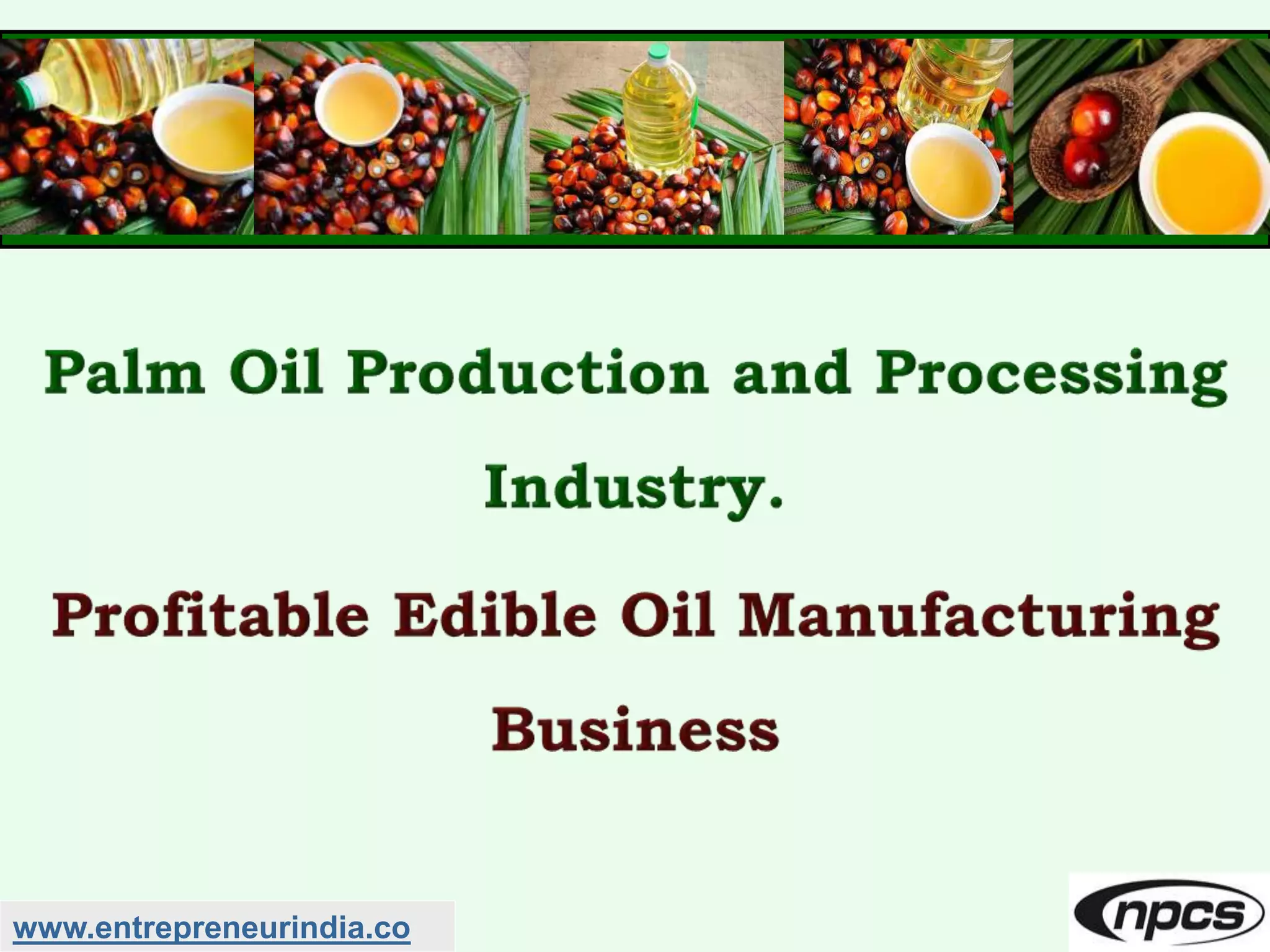 Palm Oil Production and Processing Industry | PPTX