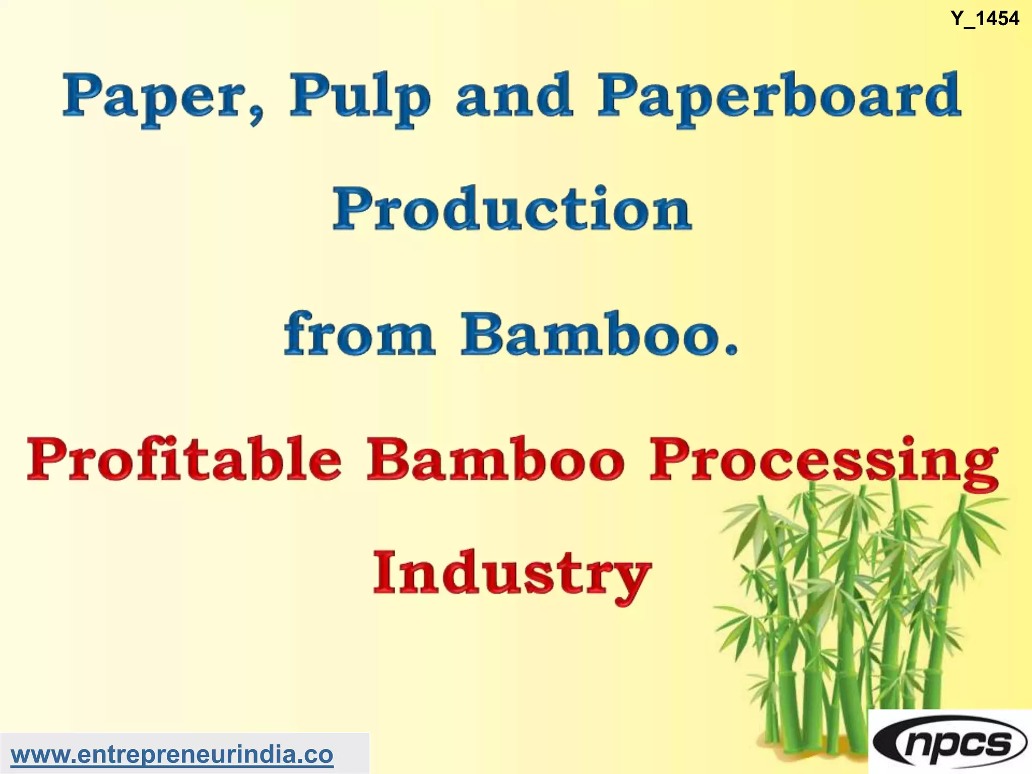 Paper, Pulp and Paperboard Production from Bamboo | PPTX