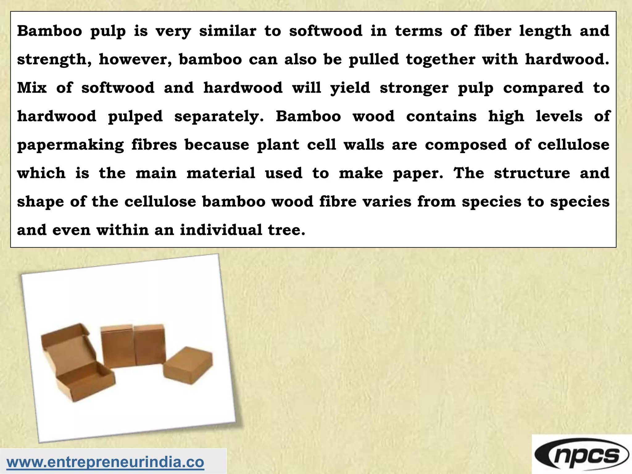 Paper, Pulp and Paperboard Production from Bamboo | PPTX