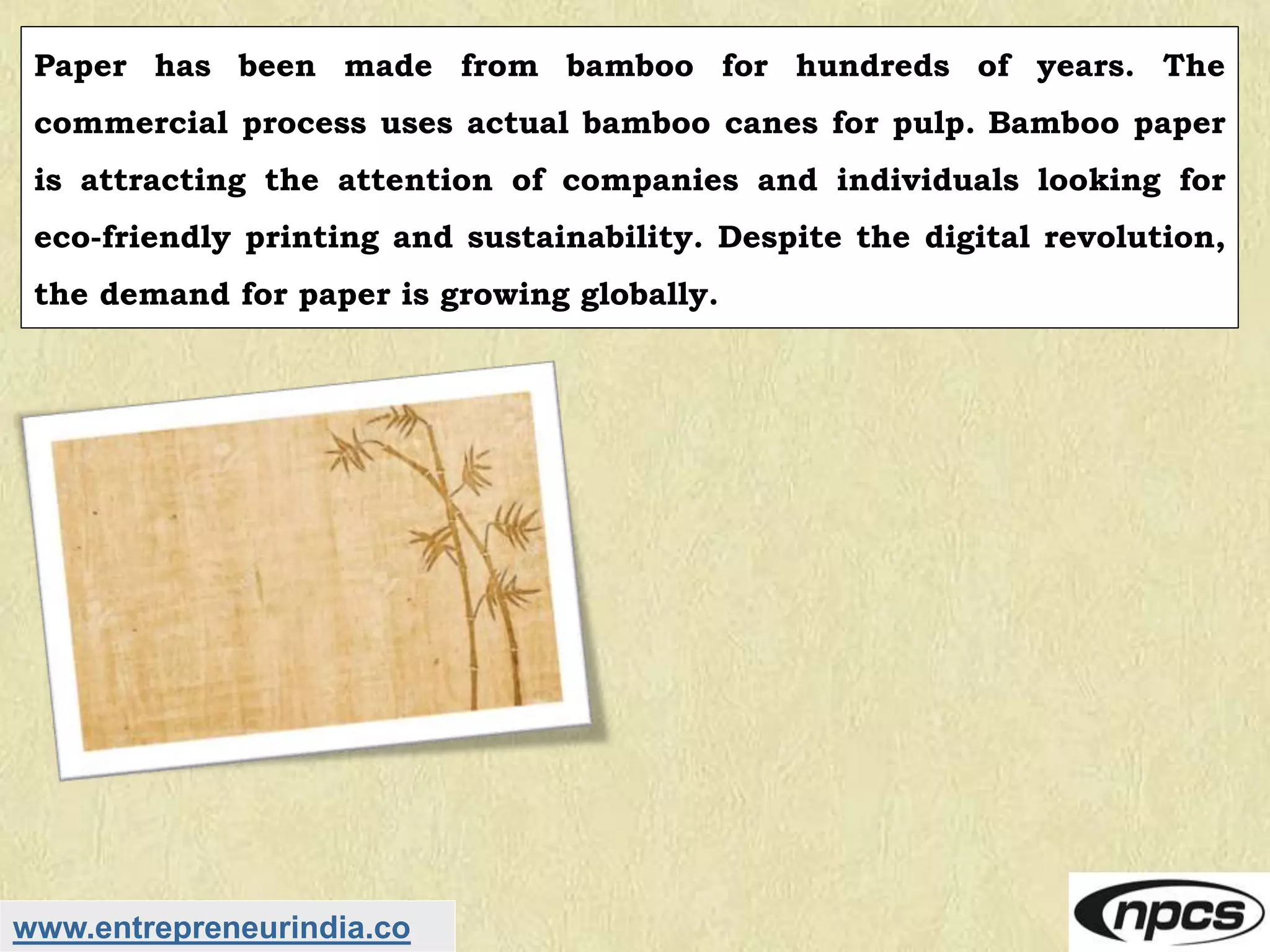 Paper, Pulp and Paperboard Production from Bamboo | PPTX
