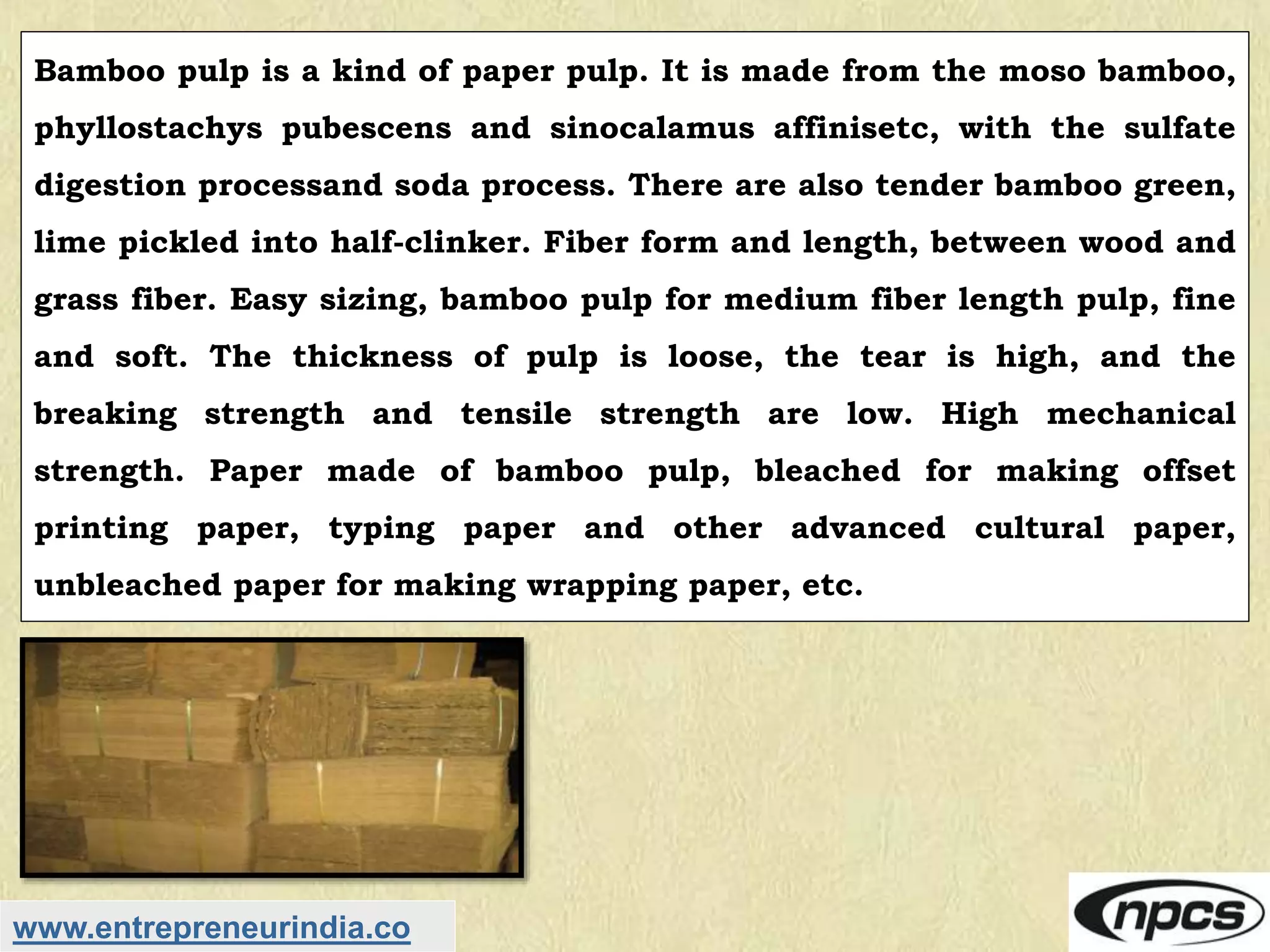 Paper, Pulp and Paperboard Production from Bamboo | PPTX