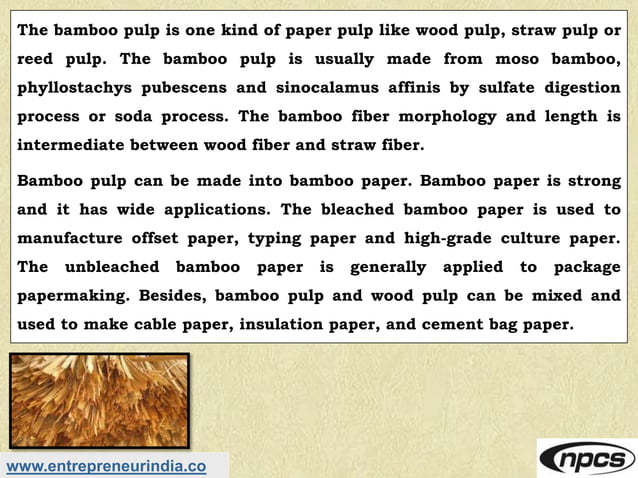 Paper, Pulp and Paperboard Production from Bamboo | PPTX | Woodworking ...