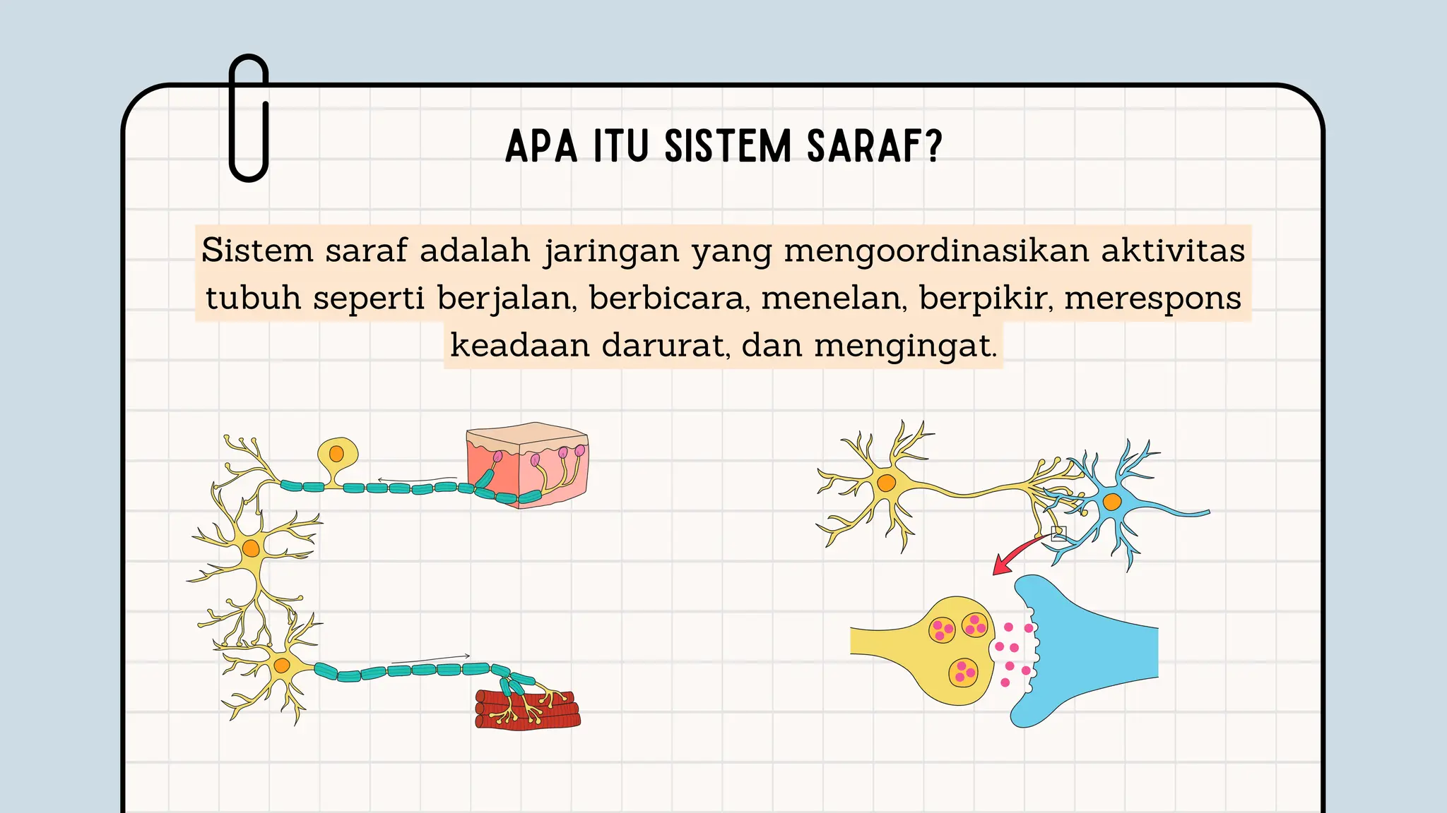 sistem syaraf pusat dan sistem syaraf tepi | PDF