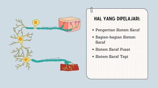 sistem syaraf pusat dan sistem syaraf tepi | PDF