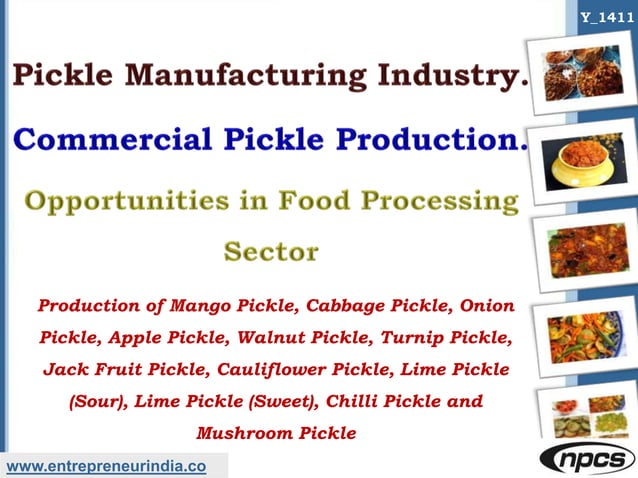 Pickle Manufacturing Industry | PPTX | Commodities | Economy