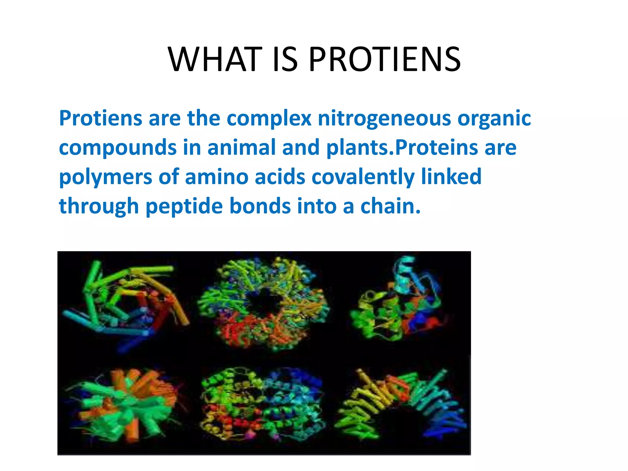 Macromolecular structure and biological function of primary protiens | PPT