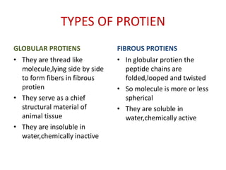 Macromolecular structure and biological function of primary protiens | PPT