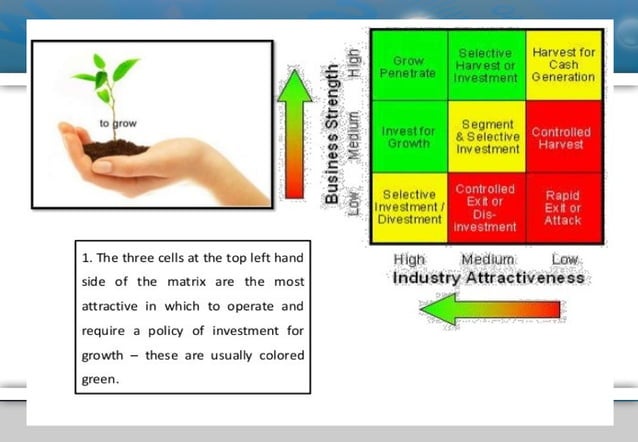 Comprehensive Portfolio Performance Analysis | PPT