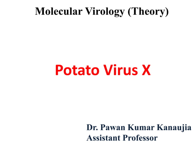 Potato virus X (PVX) | PPTX | Genetics | Science