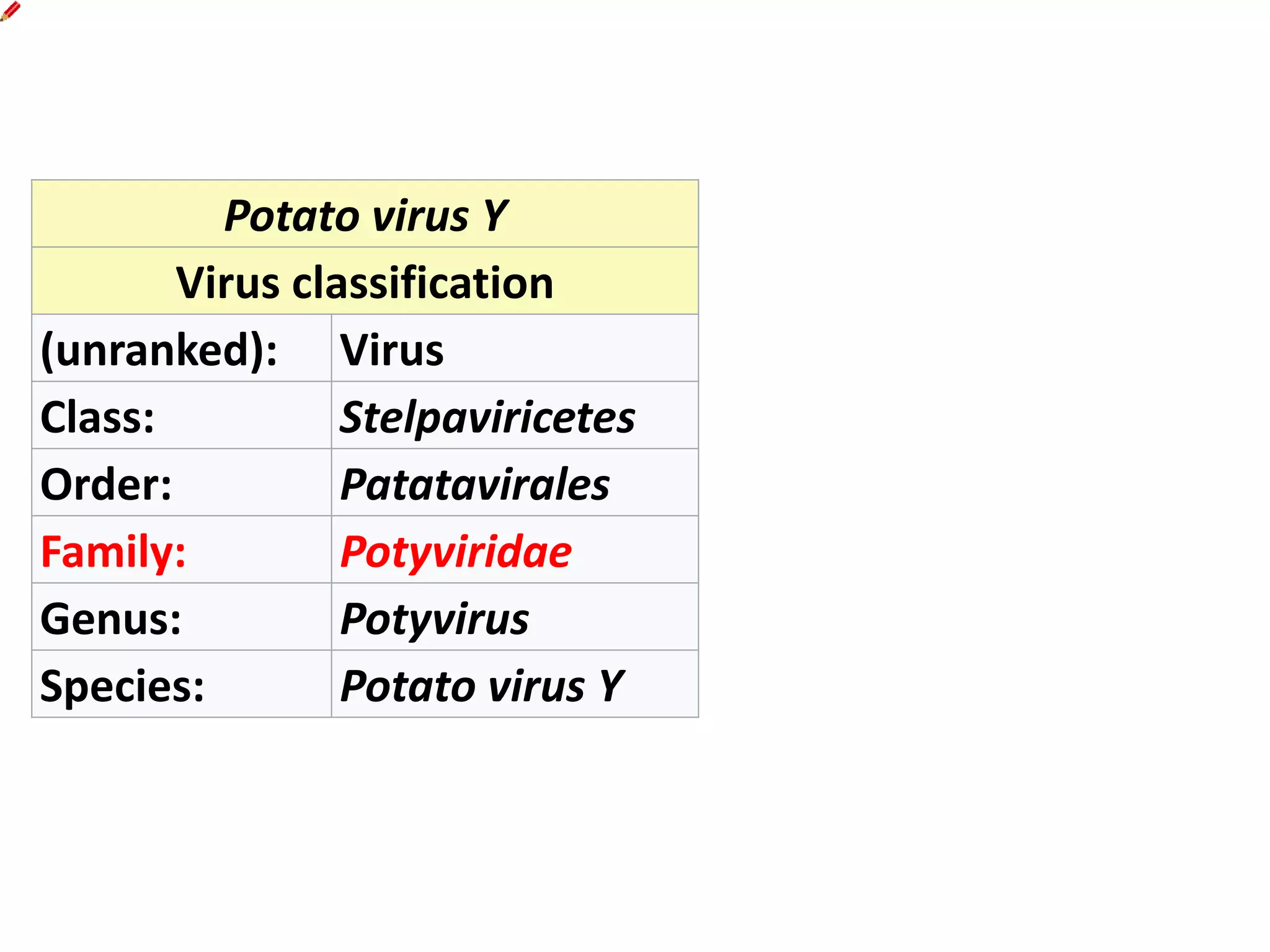 Potato virus Y (PVY) | PPTX
