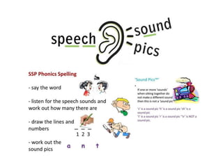 SSP Purple - Laminate as Worksheets | PDF