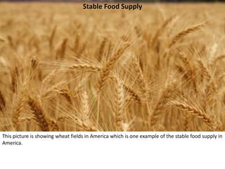 5S Iyanah Civilization | PPTX