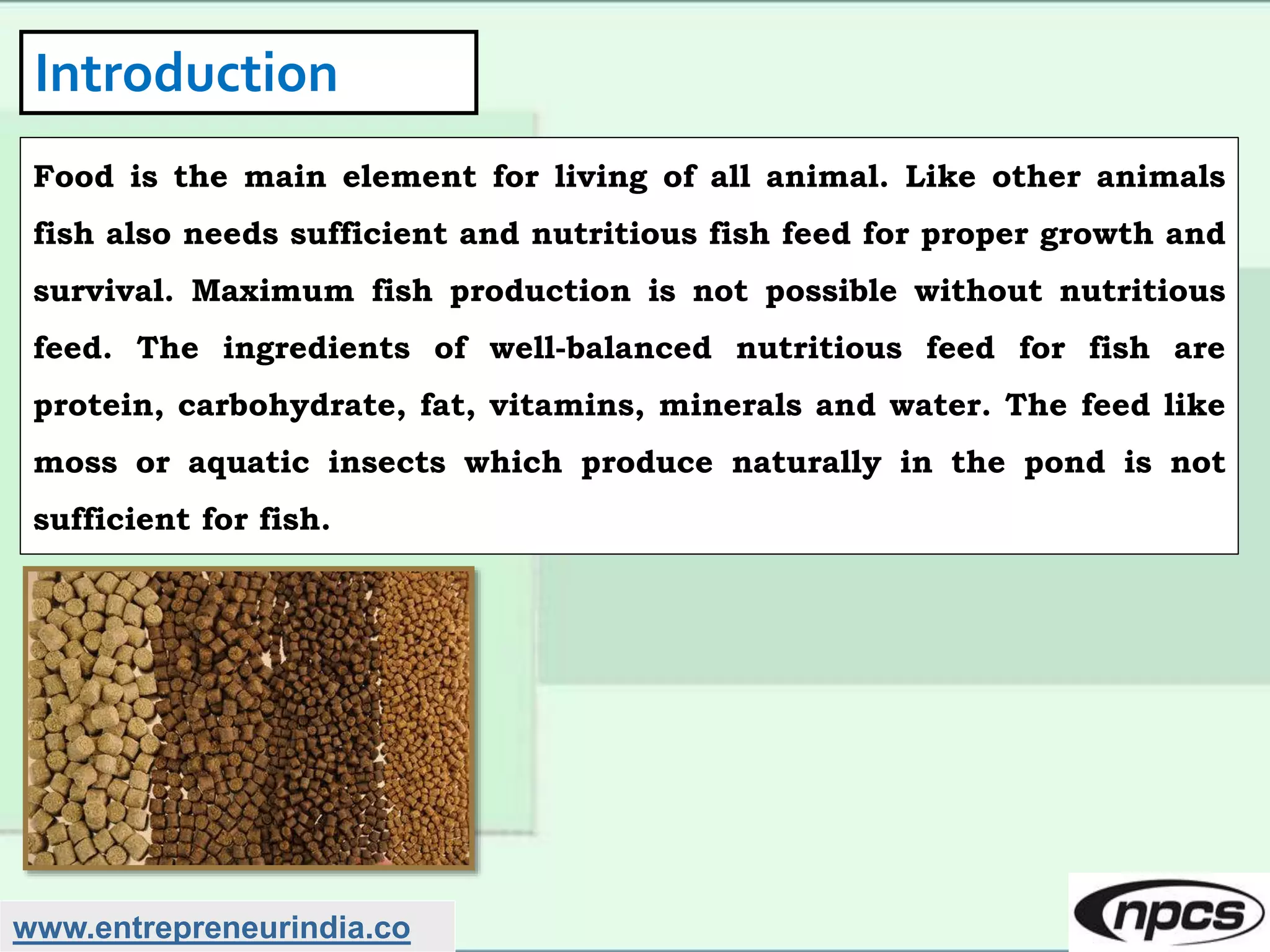 Production and Formulation of Fish and Shrimp (Prawn) Feed | PPTX