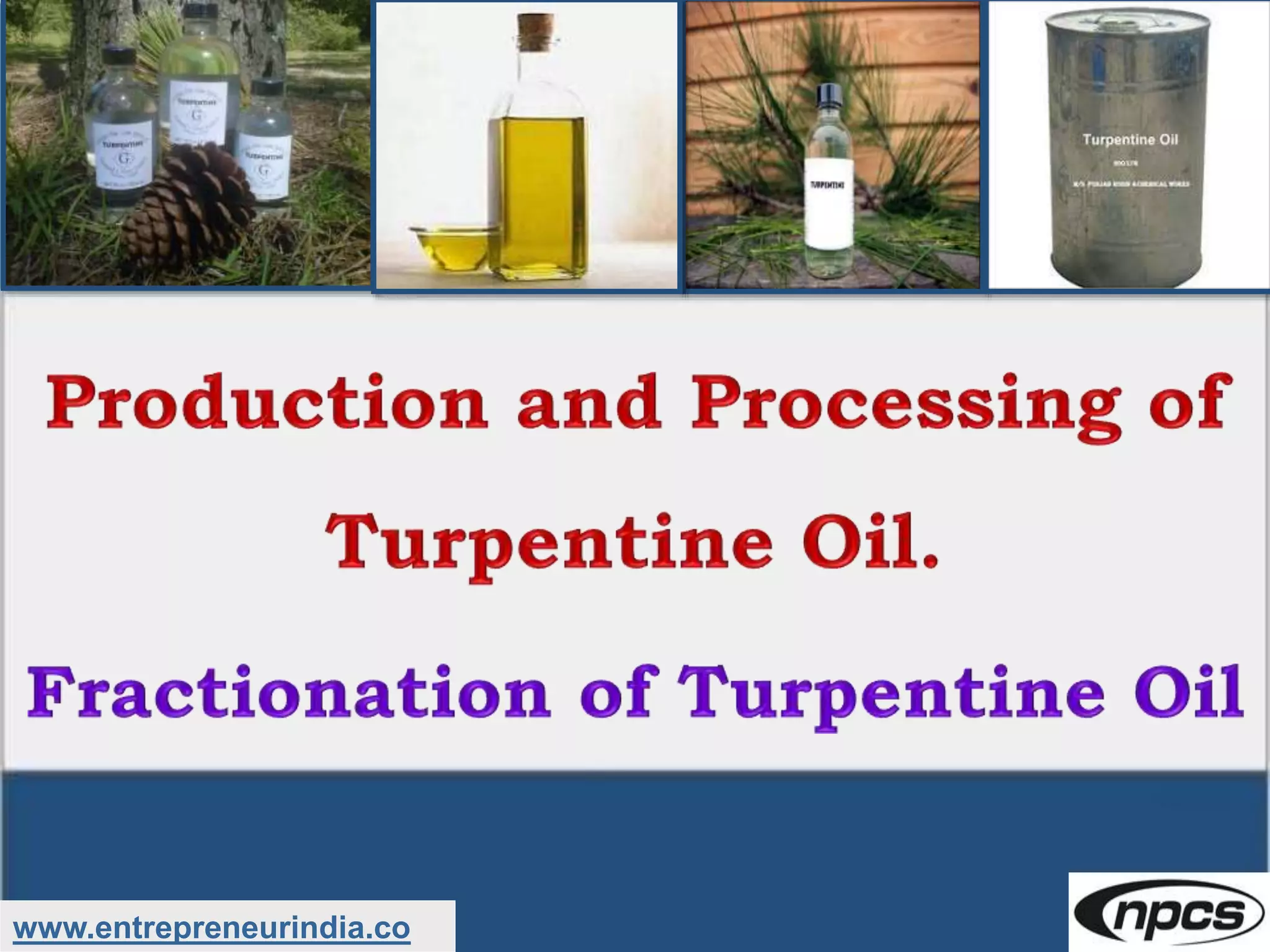 Production and Processing of Turpentine Oil | PPTX