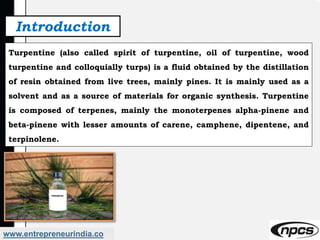 Production and Processing of Turpentine Oil | PPTX