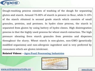 Production of Wheat Starch and Gluten | PPTX