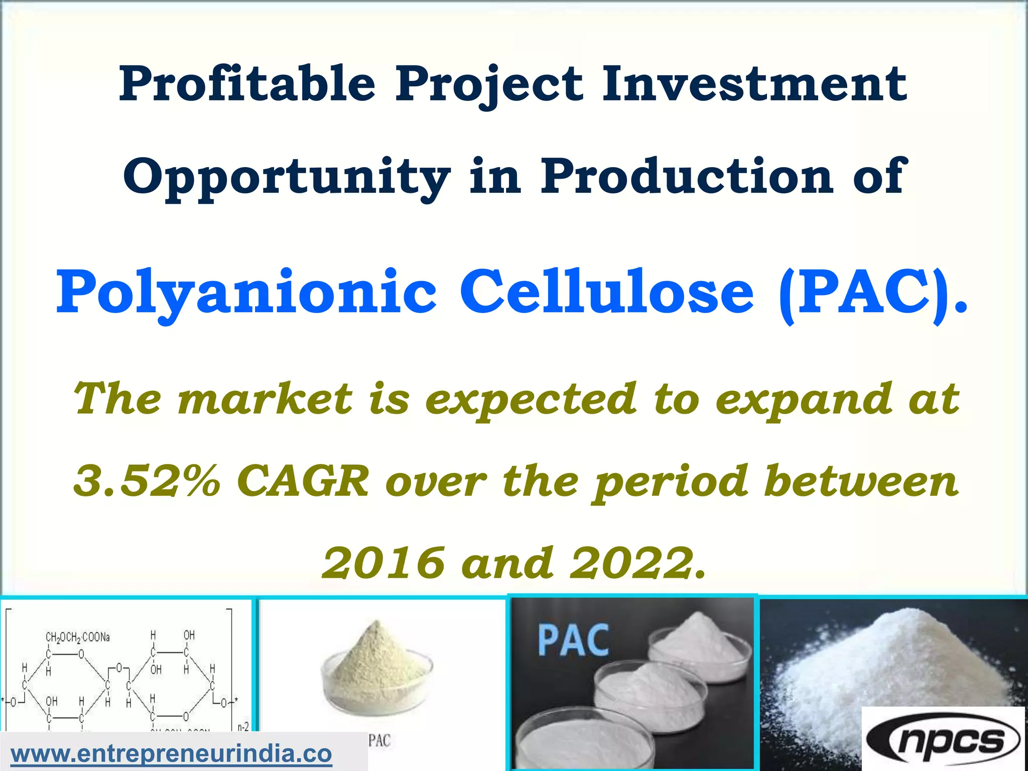 Profitable Project Investment Opportunity in Production of Polyanionic ...