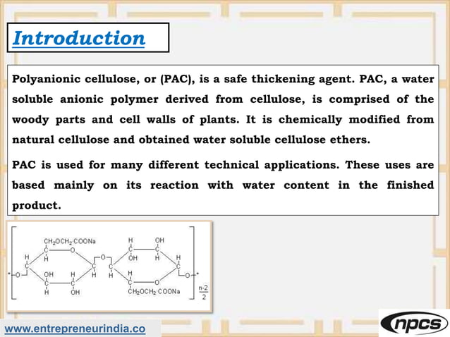 Profitable Project Investment Opportunity in Production of Polyanionic ...