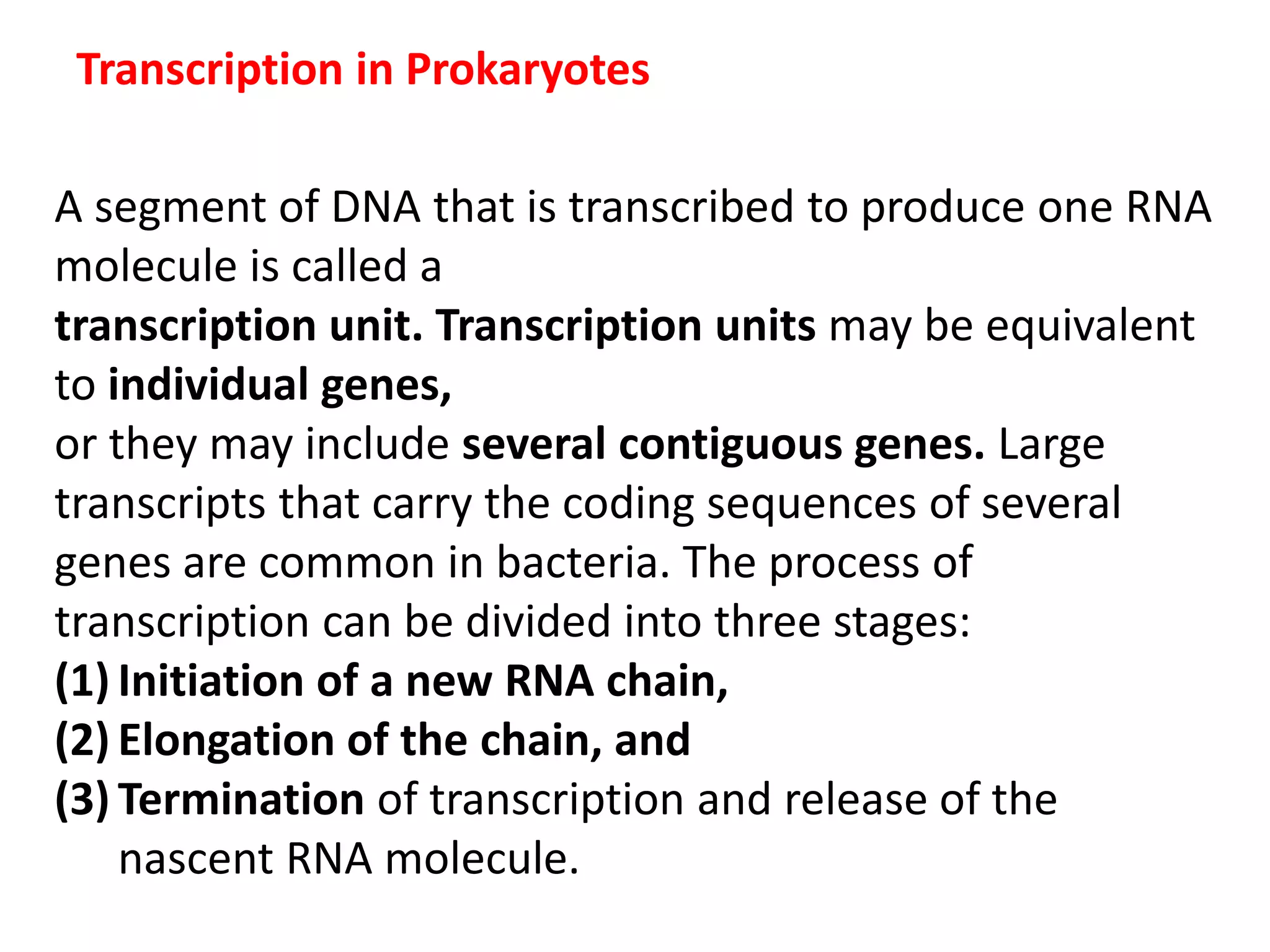 Prokaryotic transcription & gene structure | PPTX