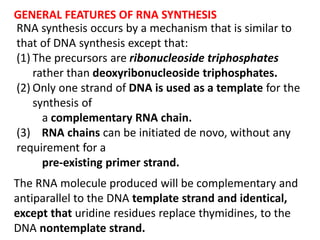 Prokaryotic transcription & gene structure | PPTX | Genetics | Science