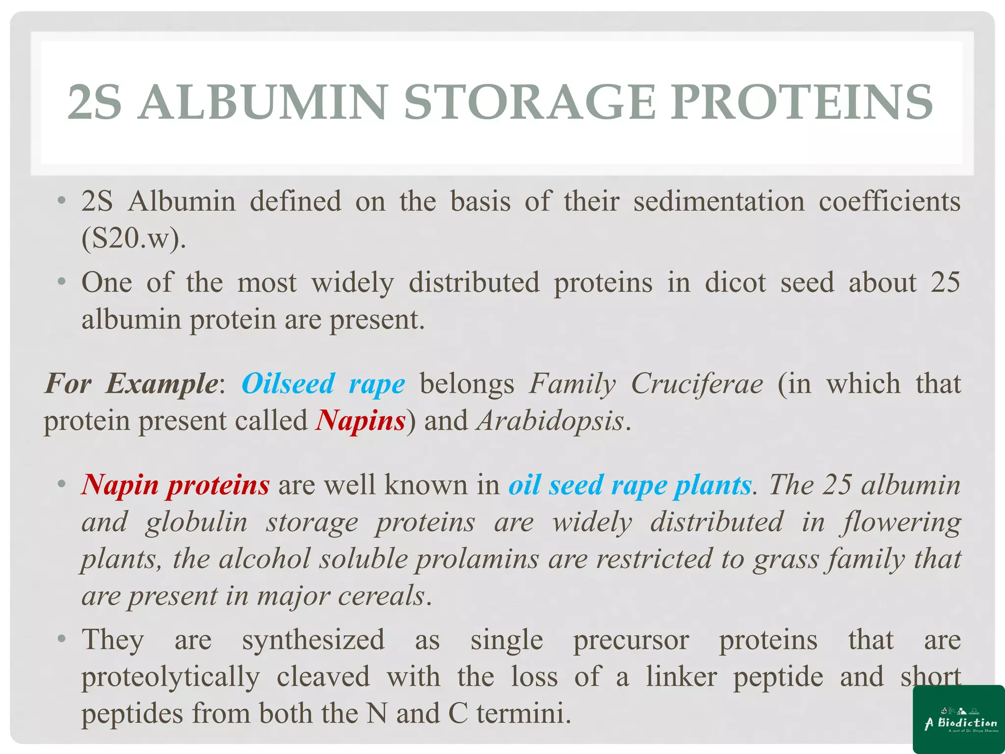 Seed Storage Proteins in Plants | PDF