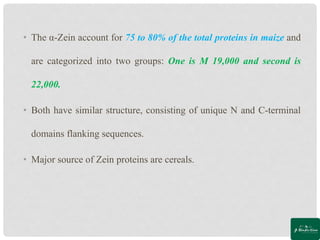 Seed Storage Proteins in Plants | PDF