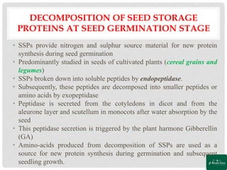 Seed Storage Proteins in Plants | PDF