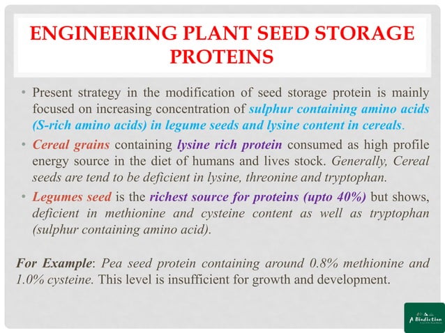 Seed Storage Proteins in Plants | PDF