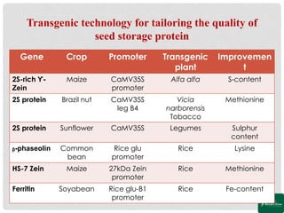 Seed Storage Proteins in Plants | PDF