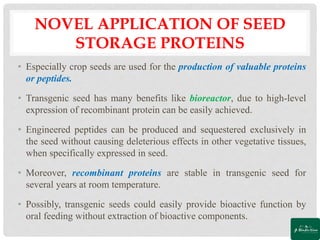 Seed Storage Proteins in Plants | PDF