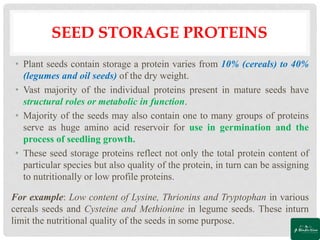Seed Storage Proteins in Plants | PDF