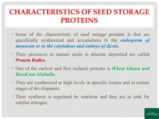 Seed Storage Proteins in Plants | PDF