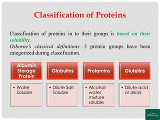 Seed Storage Proteins in Plants | PDF