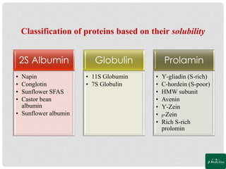 Seed Storage Proteins in Plants | PDF