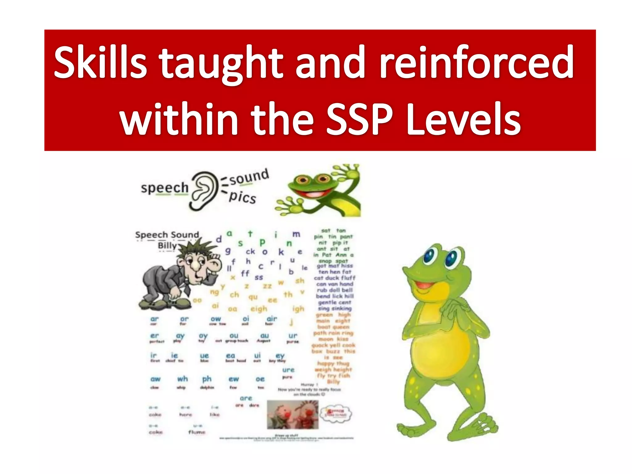 SSP Levels- SKills - Readers | PDF